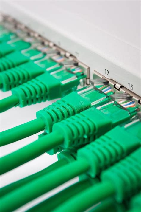 Lan Switch Stock Photo Image Of Patch Hardware Port 29618888