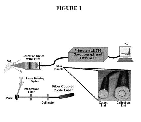 Combined Surface Enhanced And Spatially Offset Raman Spectroscopy For Biomolecule Detection