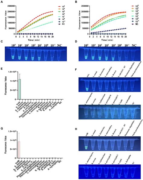 Verification Of Sensitivity And Specificity Of The Multiplex