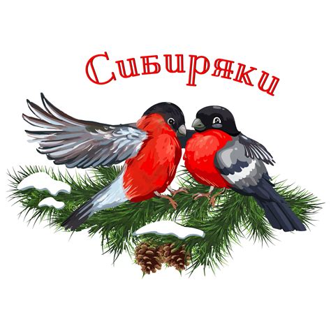 Эко-деревня Сибиряки | Отдых для всей семьи в Горном Алтае