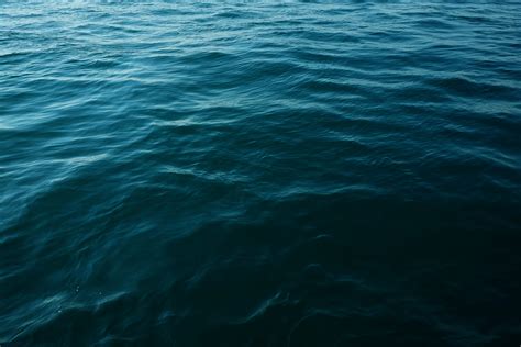 무료 이미지 대양 수평선 웨이브 수중 바다 경치 고요한 푸른 해양 포유류 해수 바람 파도 해양 생물학