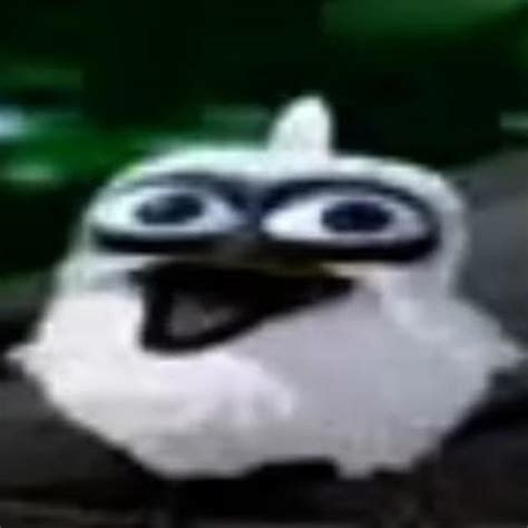 Screaming Bird Meme By Tavernard On Deviantart