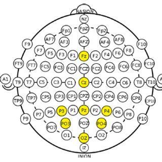 Topographic Position Of The 8 EEG Channels Used In The Study According Download Scientific