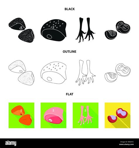 Vector Vectors Stock Vector Image And Art Alamy