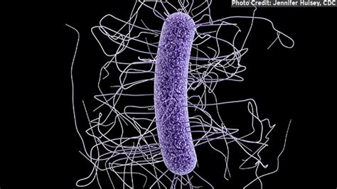 Clostridioides Difficile
