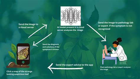 Harvesting Tomorrow With Farm Forensics Ai Revolutionizing Plant Disease Detection In