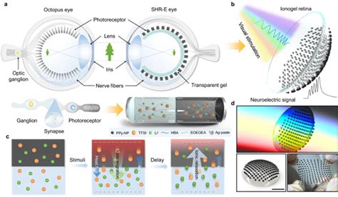 纳米医学专区 生物谷
