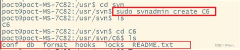 【svn】svn搭建ubuntu服务器过程（图文超详细）ubuntu搭建svn服务器 Csdn博客