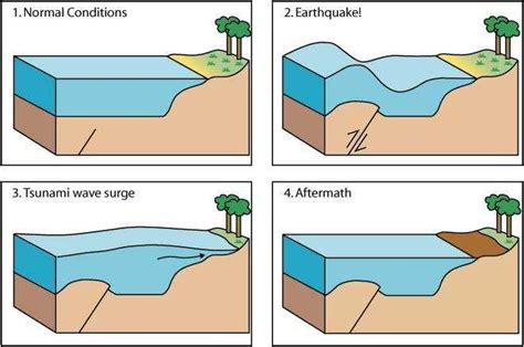 Understanding The Earth S Seismic Activity Through An Earthquake Diagram Understanding The Earth S Seismic Activity Through An Earthquake Diagram