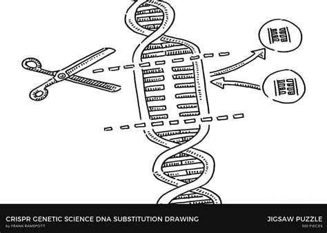 Crispr Genetic Science Dna Substitution Drawing Jigsaw Puzzle By Frank