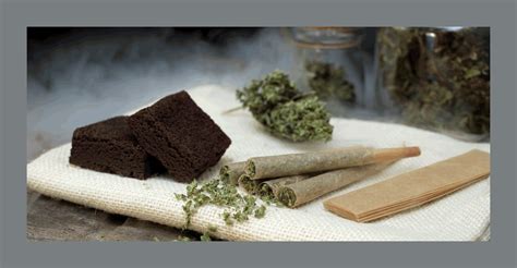 Hash Vs Weed Guide Cannoptikum