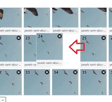 Scrollsequence Review PROS CONS WordPress Animation On Scroll Plugin