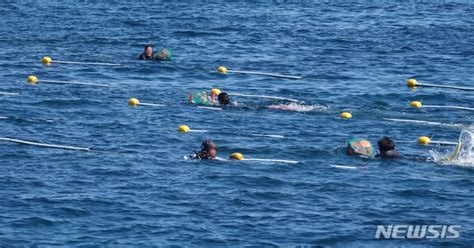 제주 은갈치 축제 볼거리 해녀 테왁 수영 대회