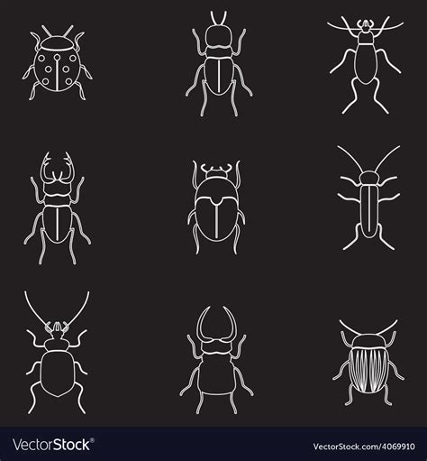 Insect Outline Icons Beetle Collection Vector Image