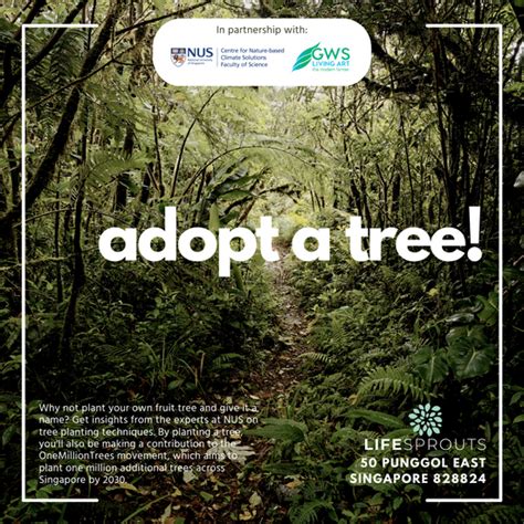 Adopt A Tree Tree Planting Volunteer Community In Singapore Citysprouts