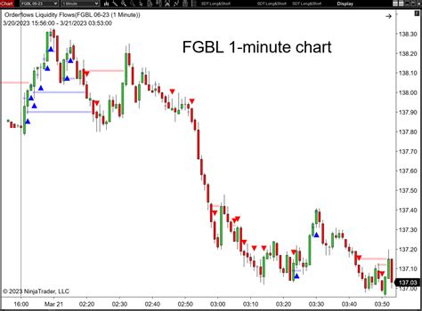 Liquidity Flows Indicator For Nt8