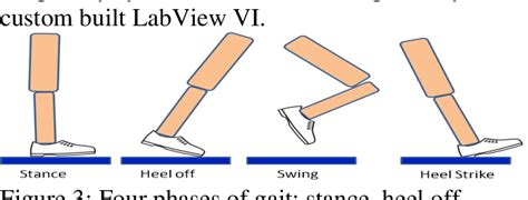 Figure 3 From An Approach For Identifying Gait Events Using Wavelet Denoising Technique And