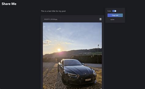 i created a selfhosted imgur clone using pocketbase and next js it