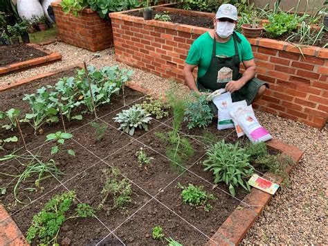 Como Fazer Uma Horta Orgânica Blog Do Jardineiro Amador