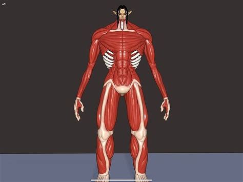 Eren Founding Titan Phase 2 3d Model Attack On Titan