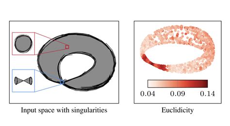Singular Structures And Complexity In Image Data Are Identified And