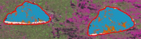 Qupath Simple Tissue Detection Image Analysis Imagesc Forum Qupath Simple Tissue Detection Image Analysis Imagesc Forum