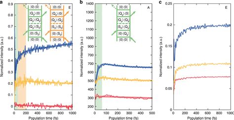 Experimental And Simulated Time Traces Extracted At Relevant