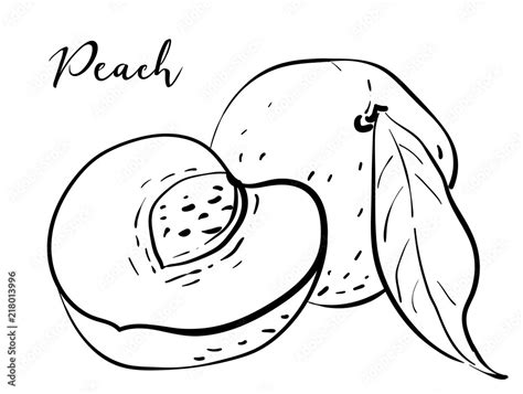 Peach Clip Art Black And White