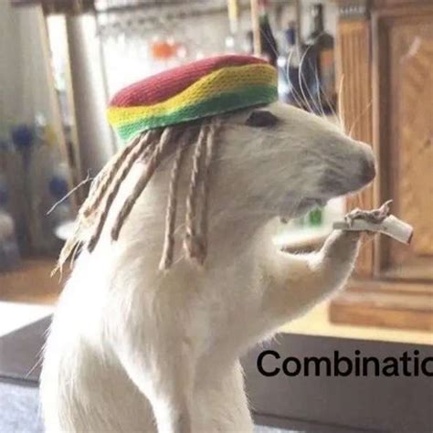 Stream ATK Jaylo Music Listen To Songs Albums Playlists For Free On SoundCloud