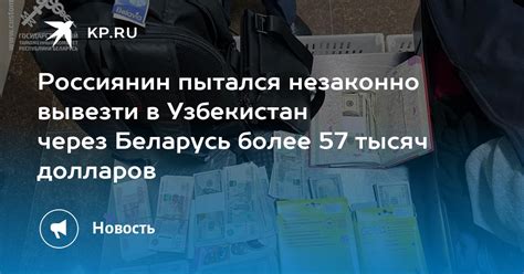 Россиянин пытался незаконно вывезти в Узбекистан через Беларусь более 57 тысяч долларов Kp Ru