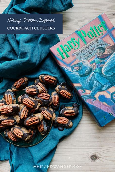 Cockroach Clusters Harry Potter Inspired Whip And Wander
