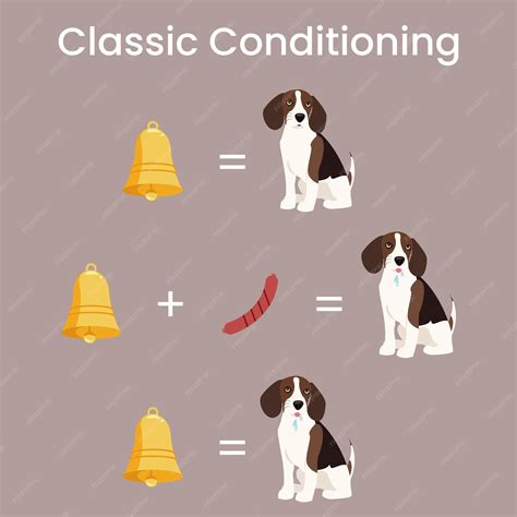 Pavlov Classical Conditioning