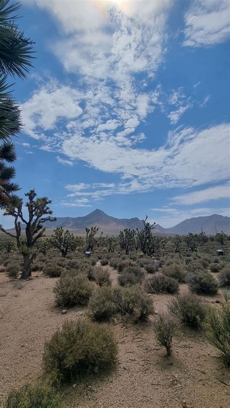 줌줌 후기 7시간그랜드캐년 웨스트림인디언마을스카이워크 라스베가스에서 편도 2시간거리 회진