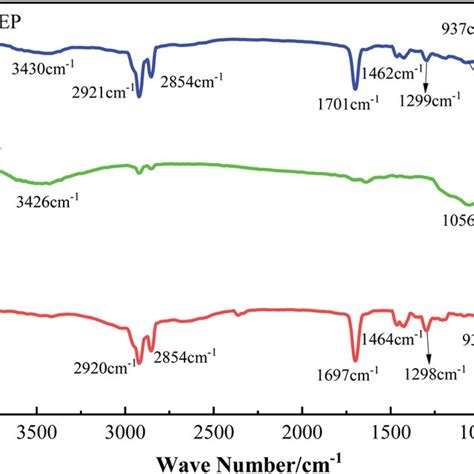Ft Ir Spectra Of L S Ep And Ls Ep Download Scientific Diagram