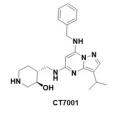 亿腾景昂递交国内首个cdk7抑制剂临床试验申请医药新闻 Bydrug 一站式医药资源共享中心 医药魔方