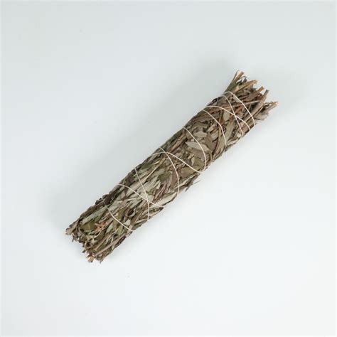 Yerba Santa Bundles 8 Inch 10 Pieces In A Pack 004