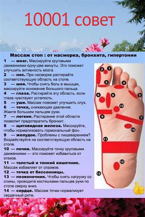 Массаж ног Акупрессура Товары для здоровья Рефлексология