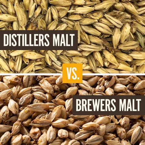 Barley And Wheat Difference