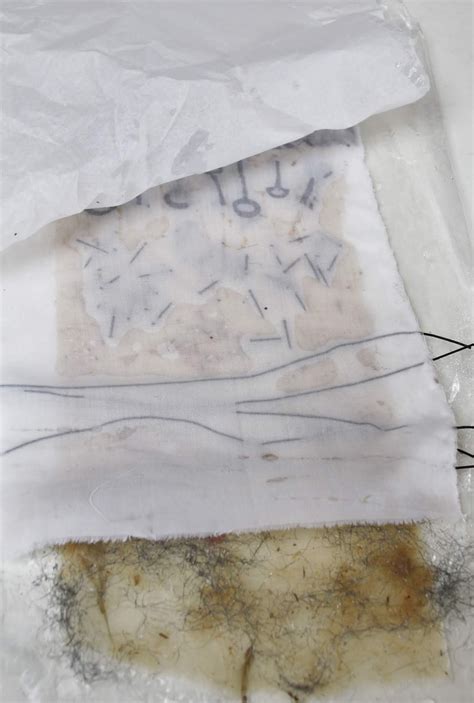 Sue Brown Printmaker A Creative Prompt Rust