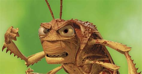 Do You Believe That Grasshoppers Are Good Luck Girlsaskguys