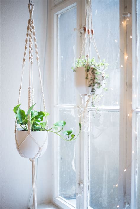 Macrame Plant Hanger Diy