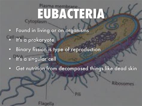 Kingdoms By Tiah Nihls
