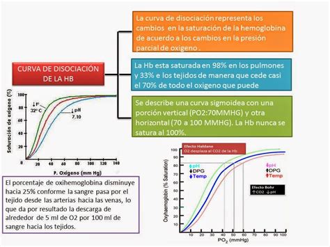 Curva De Disociacion De La Hemoglobina Blog De Fisiologia Medica