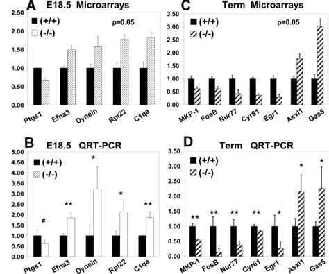 Real Time Rt Pcr Validation Of Selected Genes Identified By Microarray