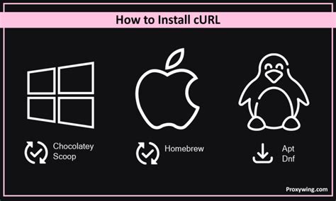 How To Use Curl With Proxy Full Setup For And Socks