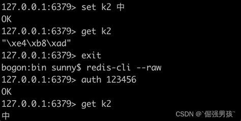 关于redis的二进制安全redis二进制安全 Csdn博客