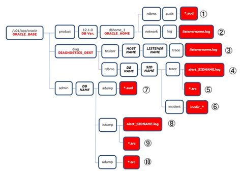 Oracle Database 로그 파일 위치운영자 필수 가이드
