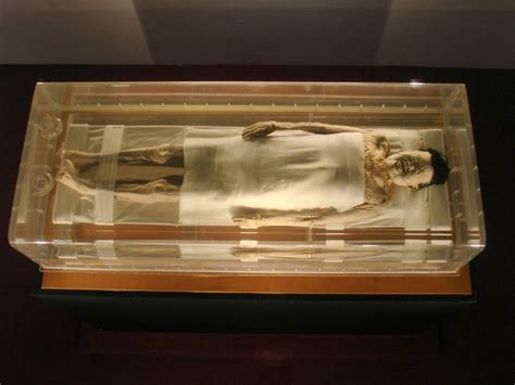 Xin Zhuis Lady Dai Mummy The Best Preserved Corpse In History