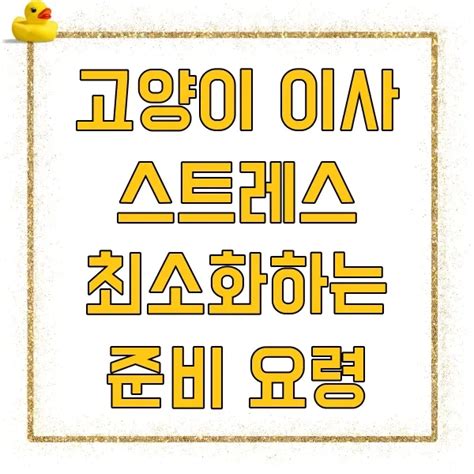 고양이 이사 스트레스 최소화하는 준비 요령