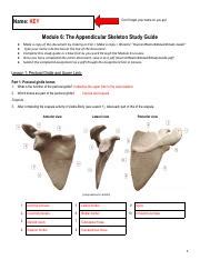 College Module Appendicular Skeleton Study Guide Course Hero